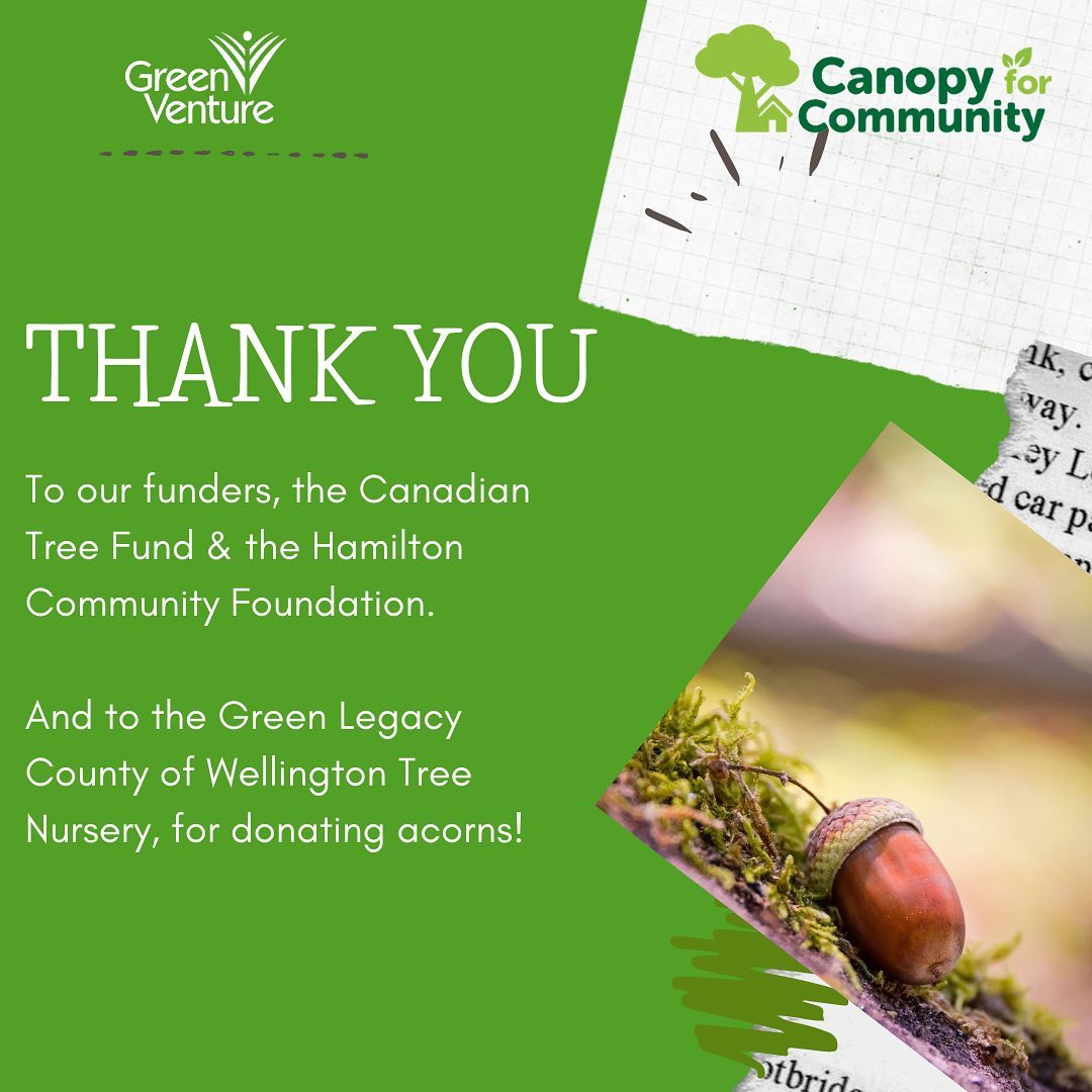 Grant Recipient Update: Green Venture – Canadian Tree Fund